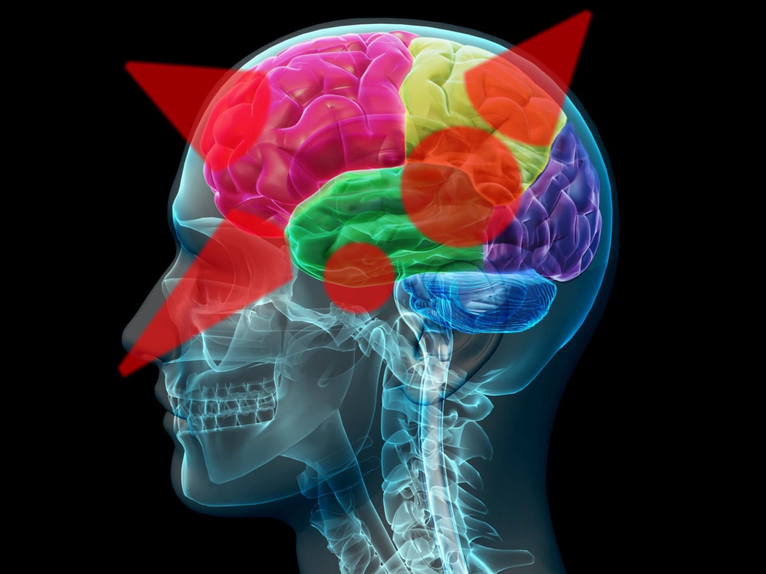 NovoTHOR Whole Body PBM Therapy Light Bed Pod