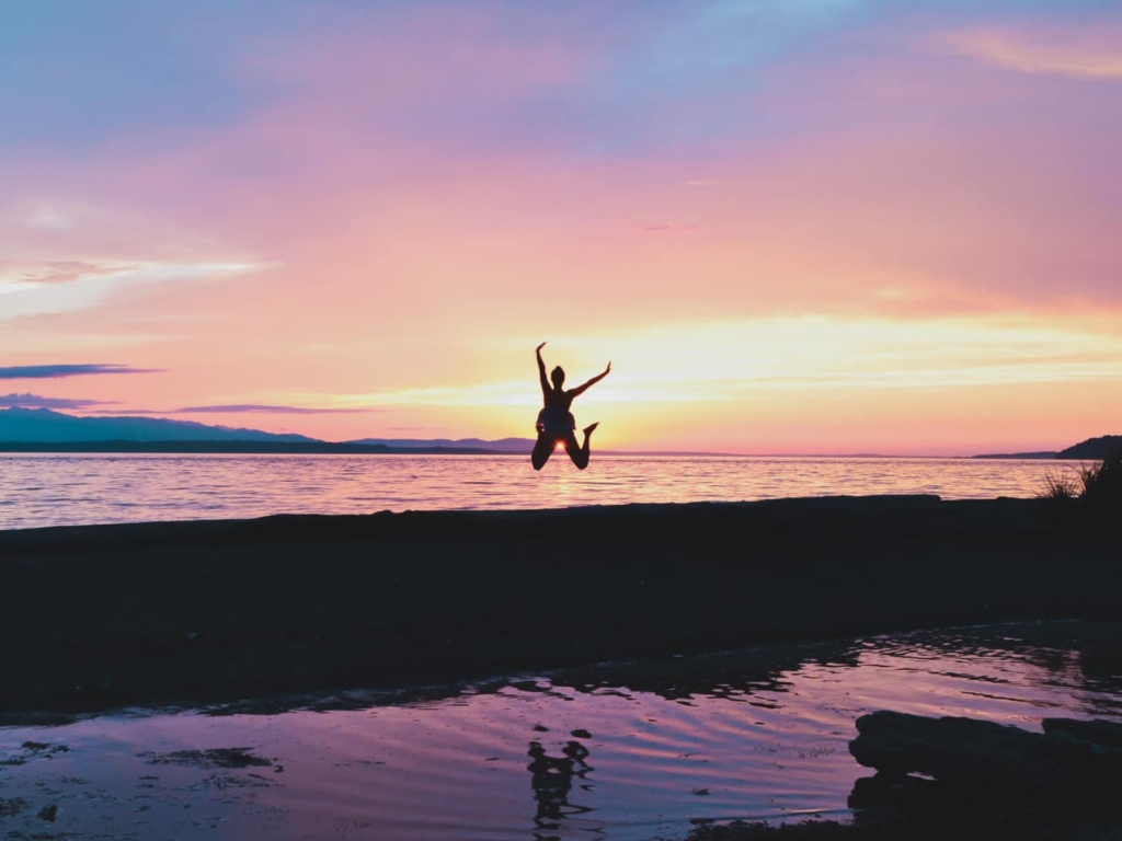 NovoTHOR Whole Body PBM Therapy Light Bed Pod